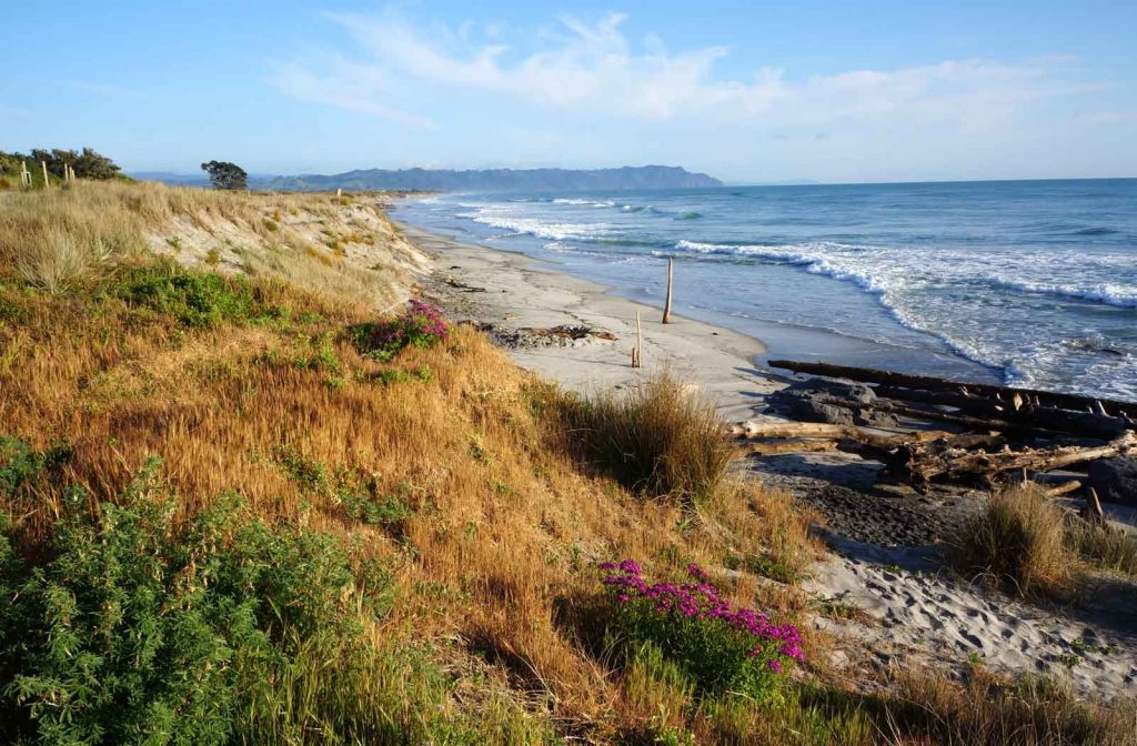 On The Beaten Track: Athenree and Bowentown – Eighteenth Avenue Thermal ...