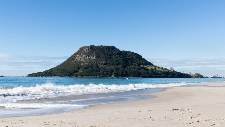 Day Trips Worth Doing: Matakana Island – Eighteenth Avenue Thermal Motel